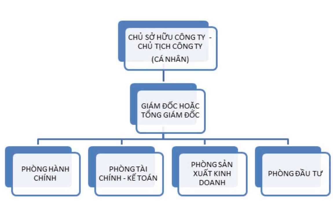 the organizational structure and management of a single-member limited ...